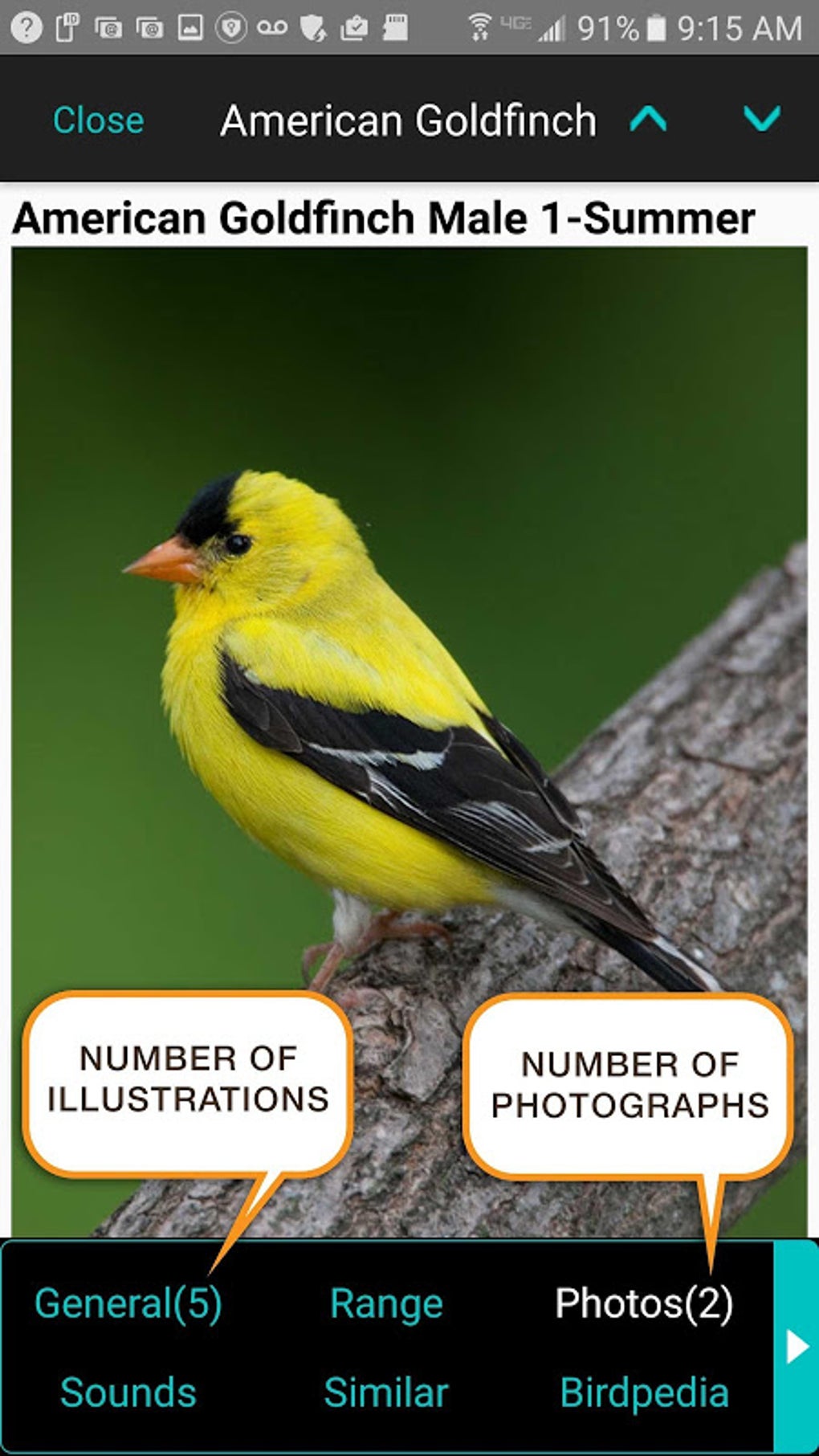 iBird Lite Free Guide to Birds for Android - Download