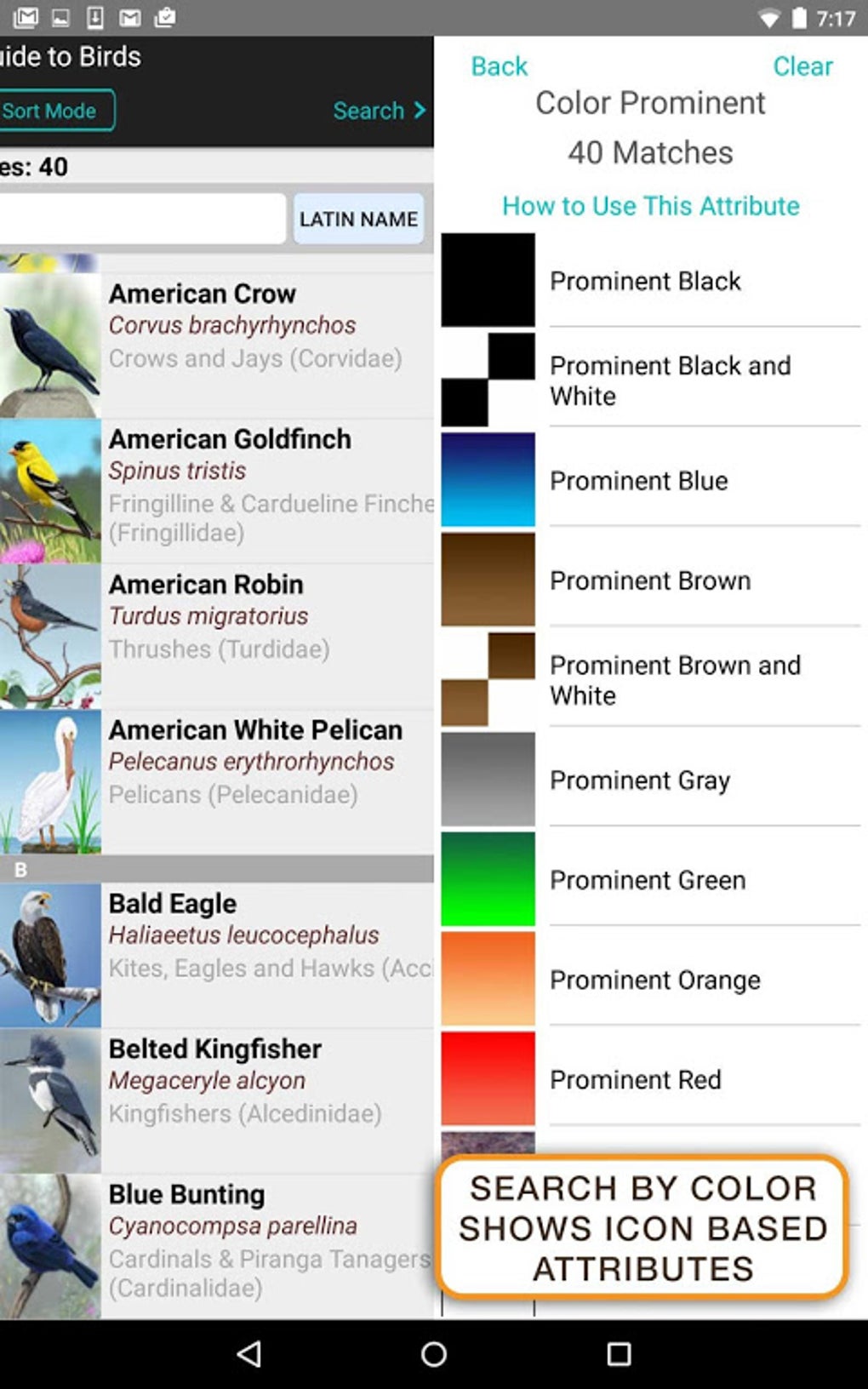 iBird Lite Free Guide to Birds for Android - Download