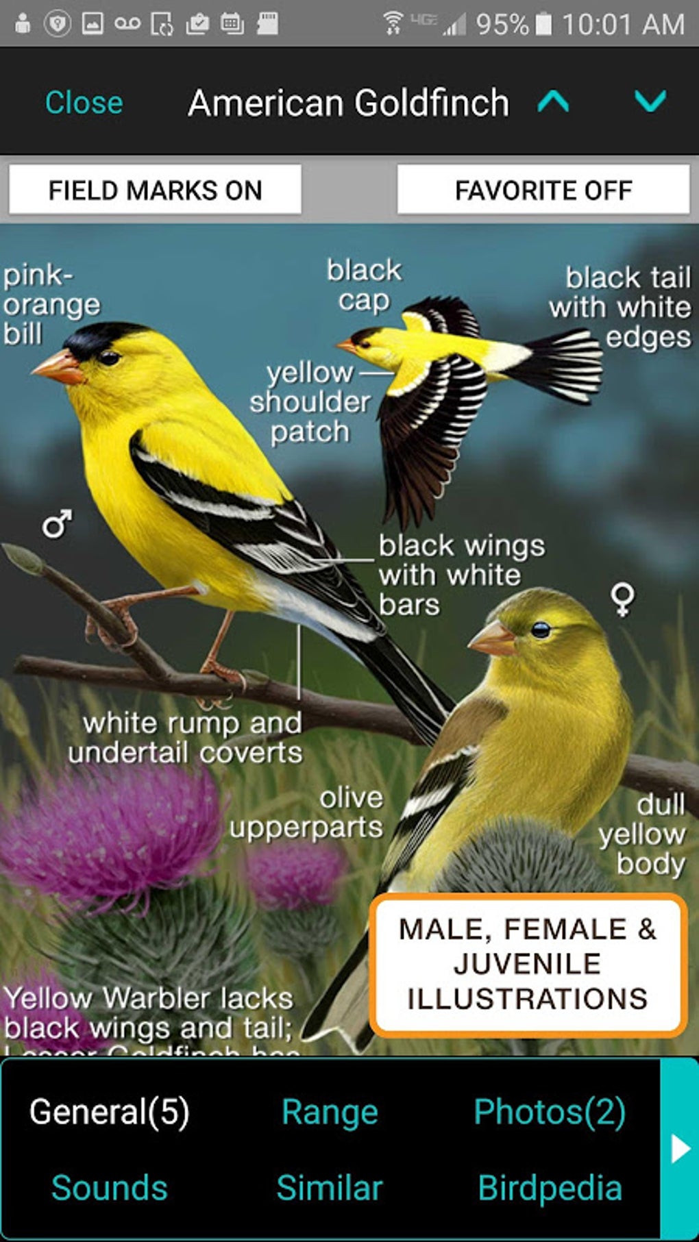 Android için iBird Lite Free Guide to Birds - İndir