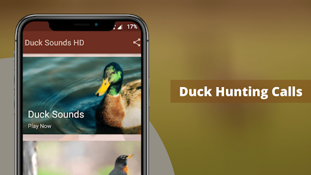 Duck Sounds pour Android - Télécharger