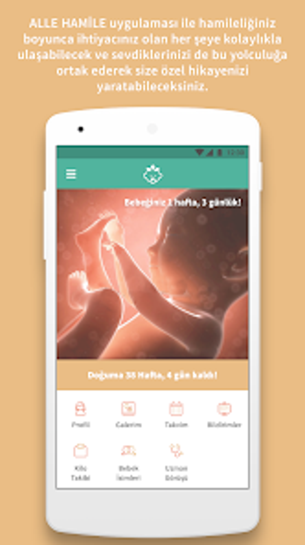 ALLE Hamile - Hafta Hafta Hami for Android - Download