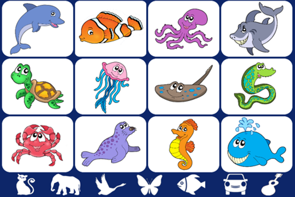 Video Touch - Sea Life for iPhone - Download