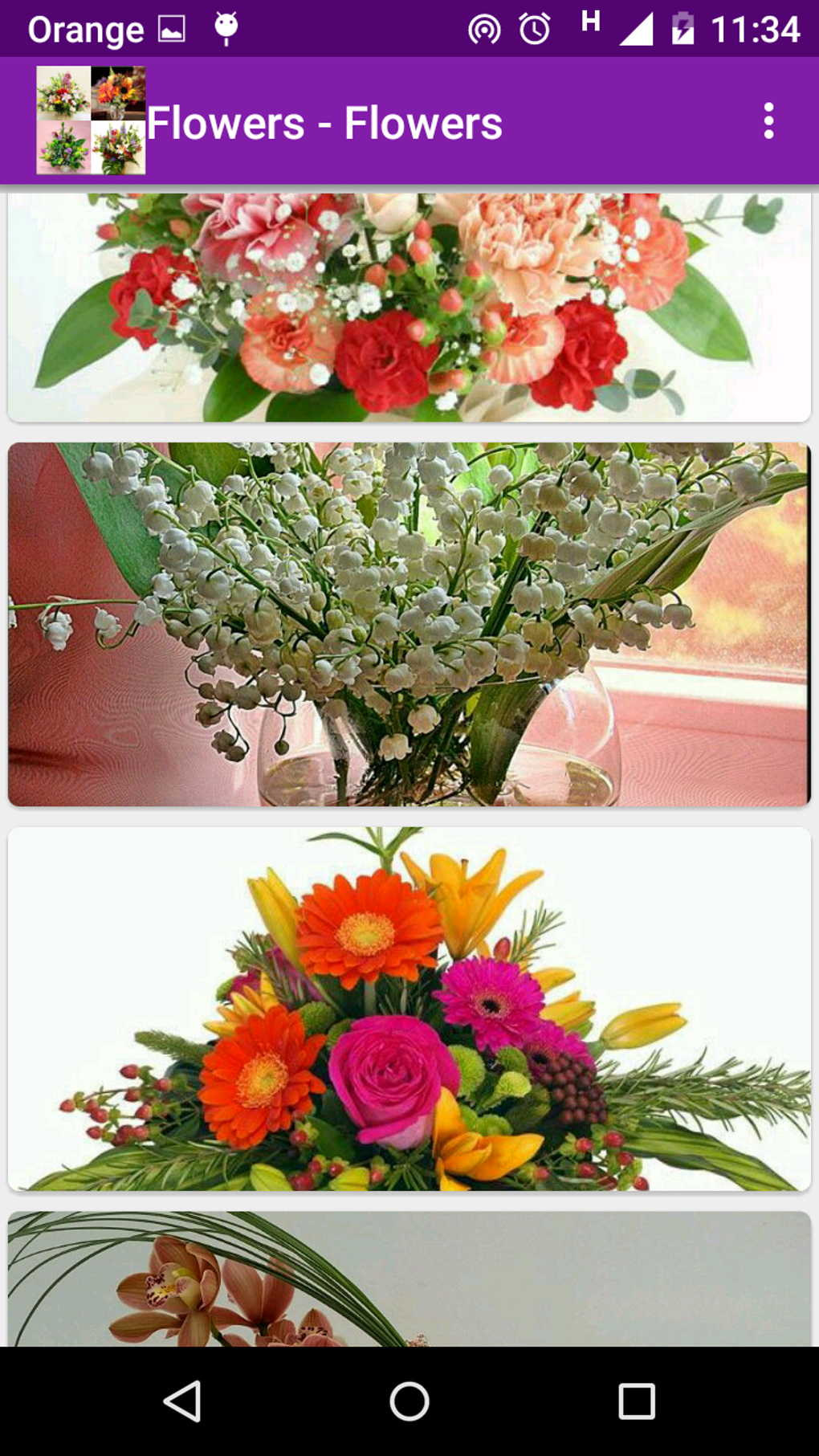 1000 flower arrangements APK for Android - Download