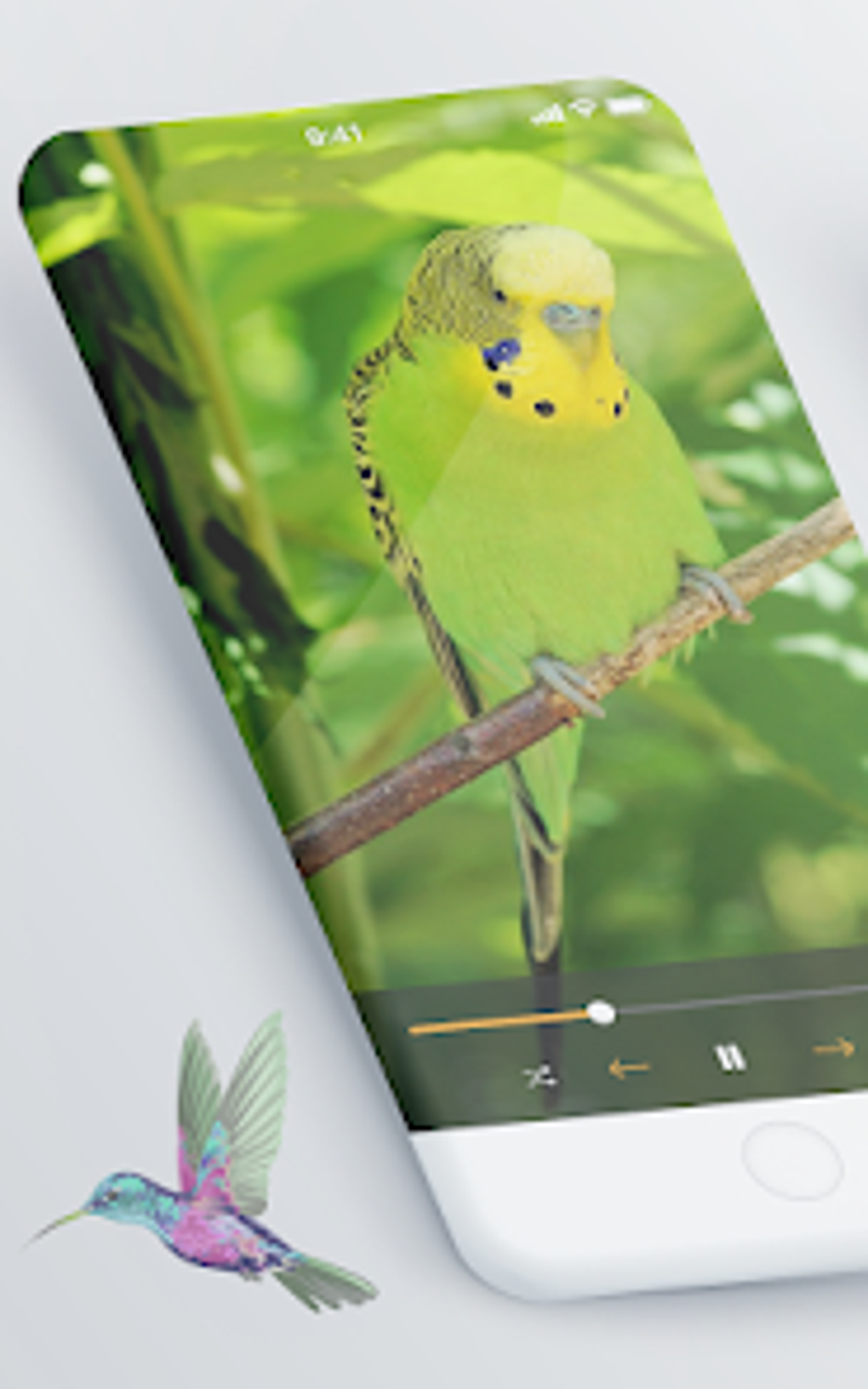 Parakeet Sounds para Android - Descargar