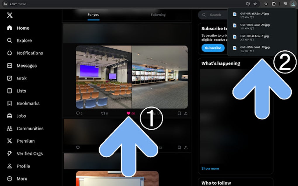 Image Downloader X Google Chrome 용 - 확장 프로그램 다운로드