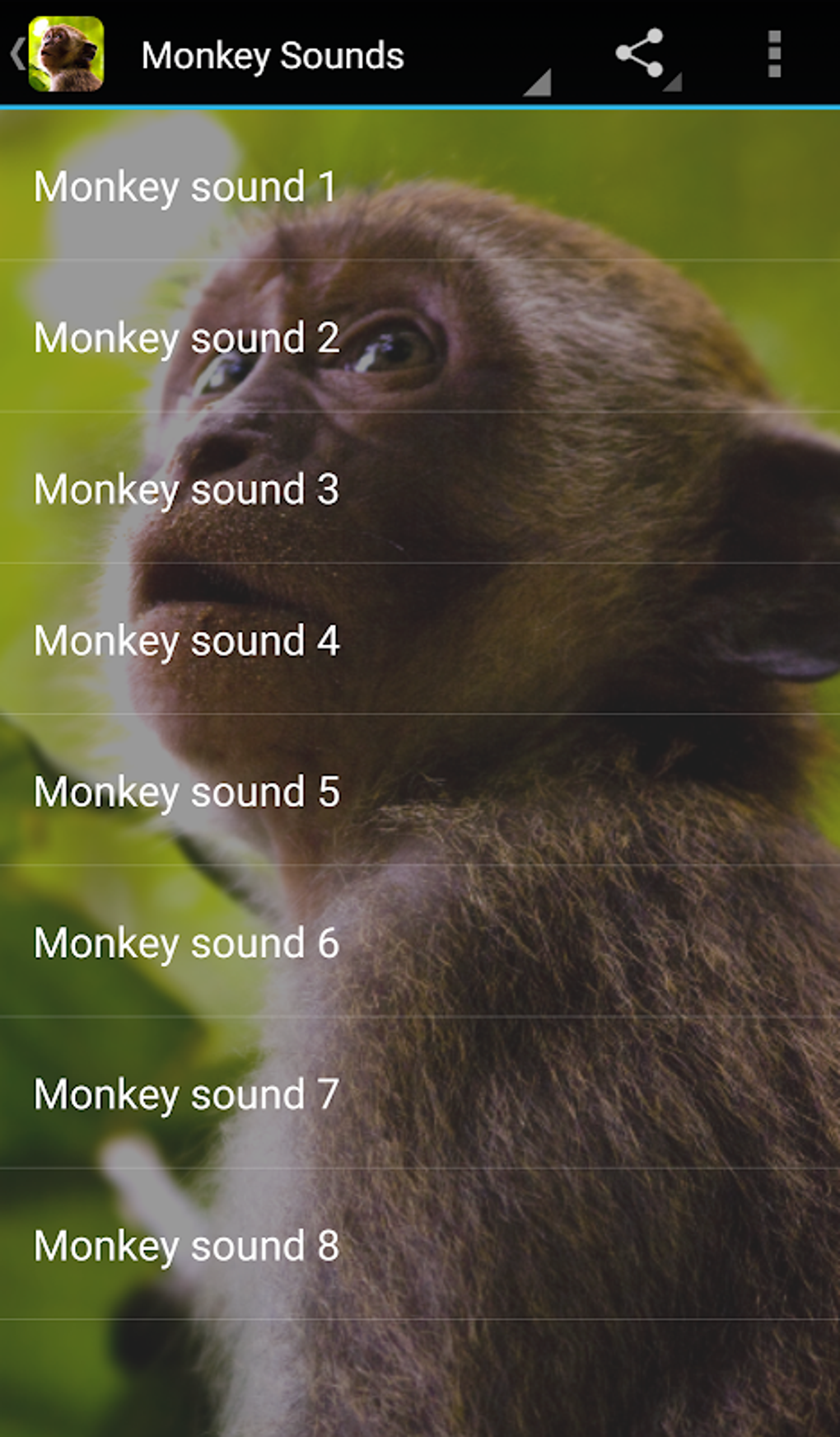 Monkey Sounds APK for Android - Download