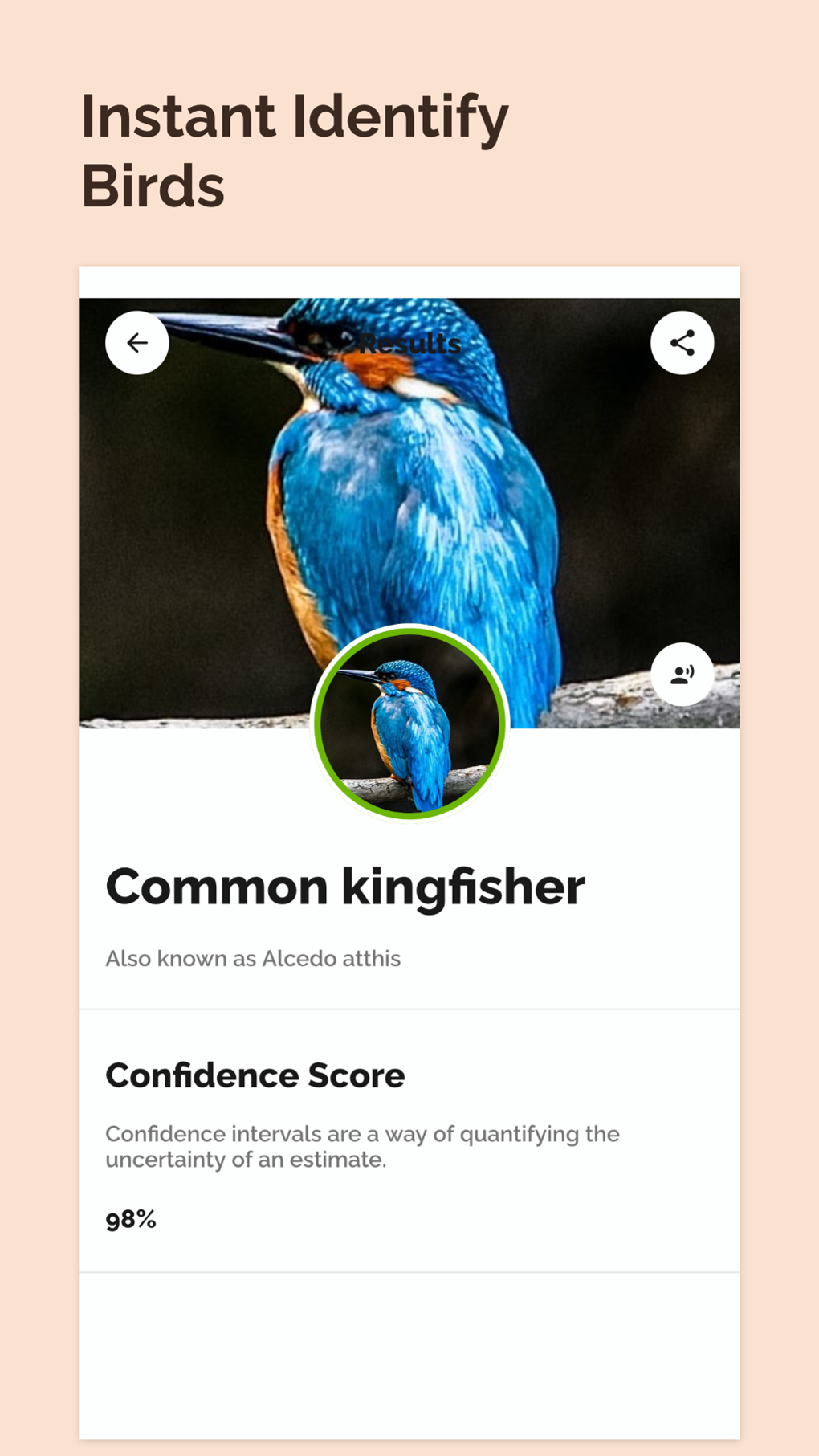 Bird Identifier: Bird Id for iPhone - Download
