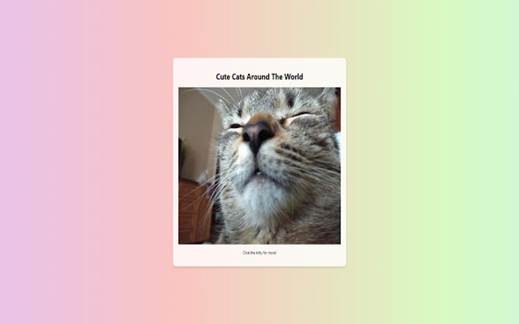 Meow Tab for Google Chrome - Extension Download