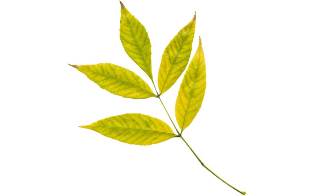 Basic Chrome Extension Test Example 2 Google Chrome 용 - 확장 프로그램 다운로드