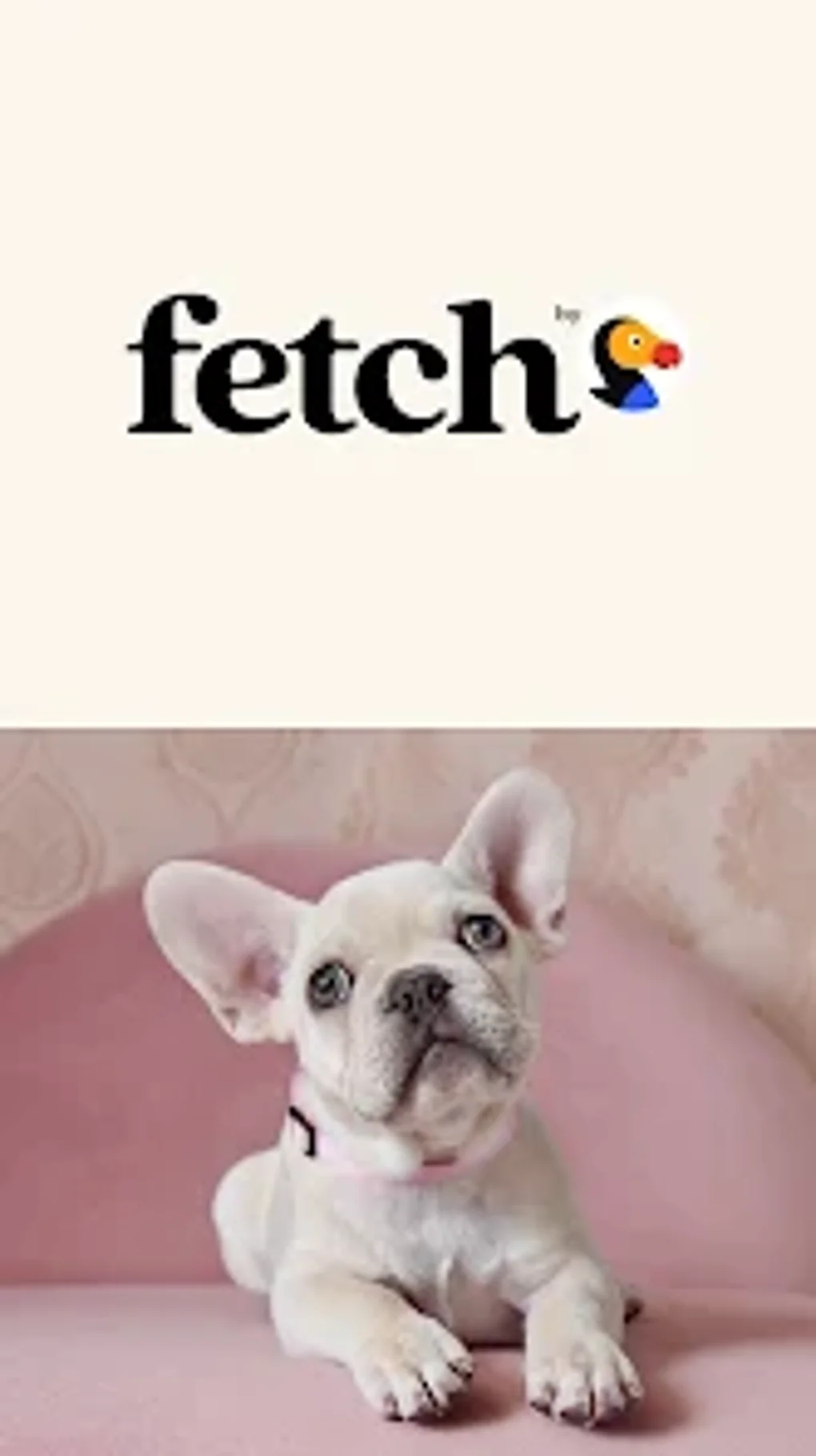 Fetch by The Dodo for Android - Download