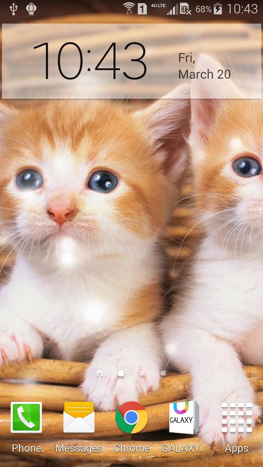 Q Cats Live Wallpaper APK for Android - Download