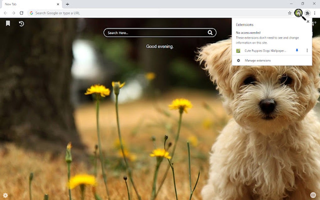 Cute Puppies Dogs Wallpaper New Tab para Google Chrome - Extensión ...