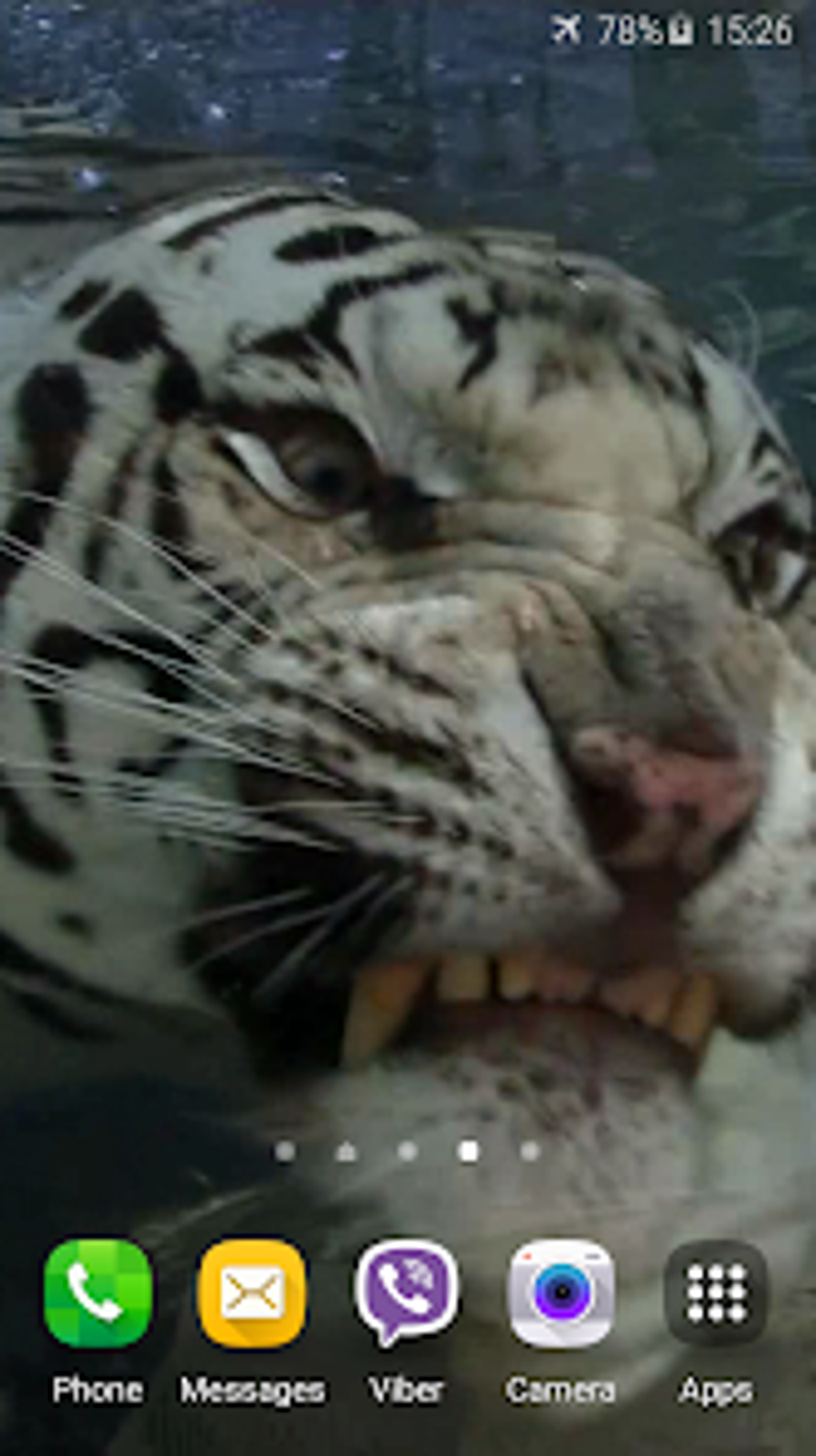 Tiger Video Live Wallpaper für Android - Download
