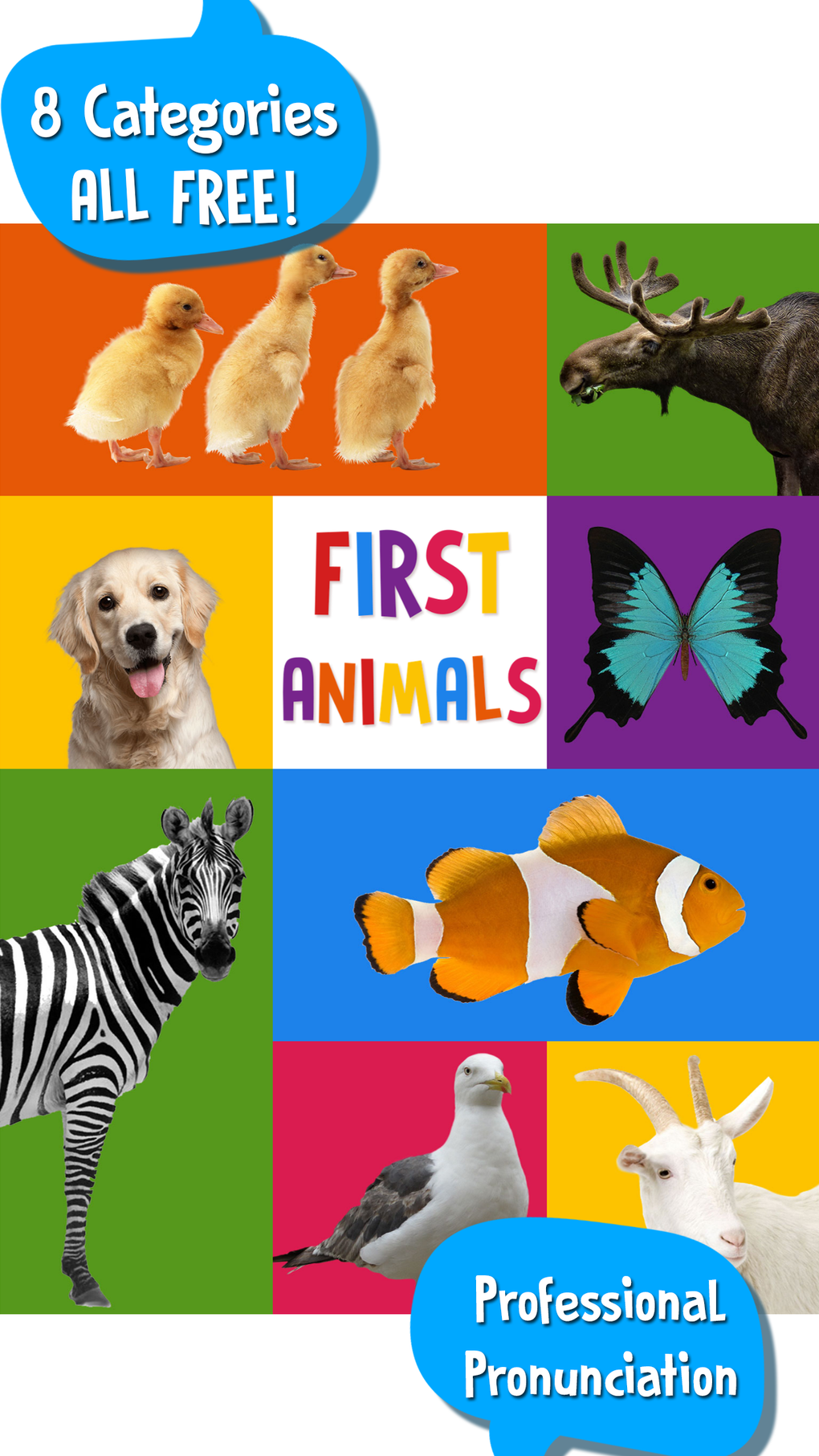 First Words For Baby Animals For IPhone Download First Words For Baby Animals For IPhone Download