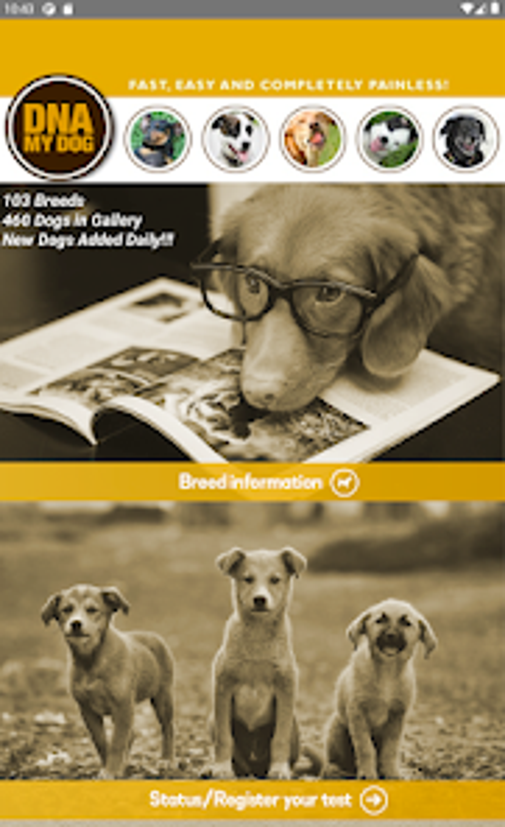 DNA My Dog for Android - Download