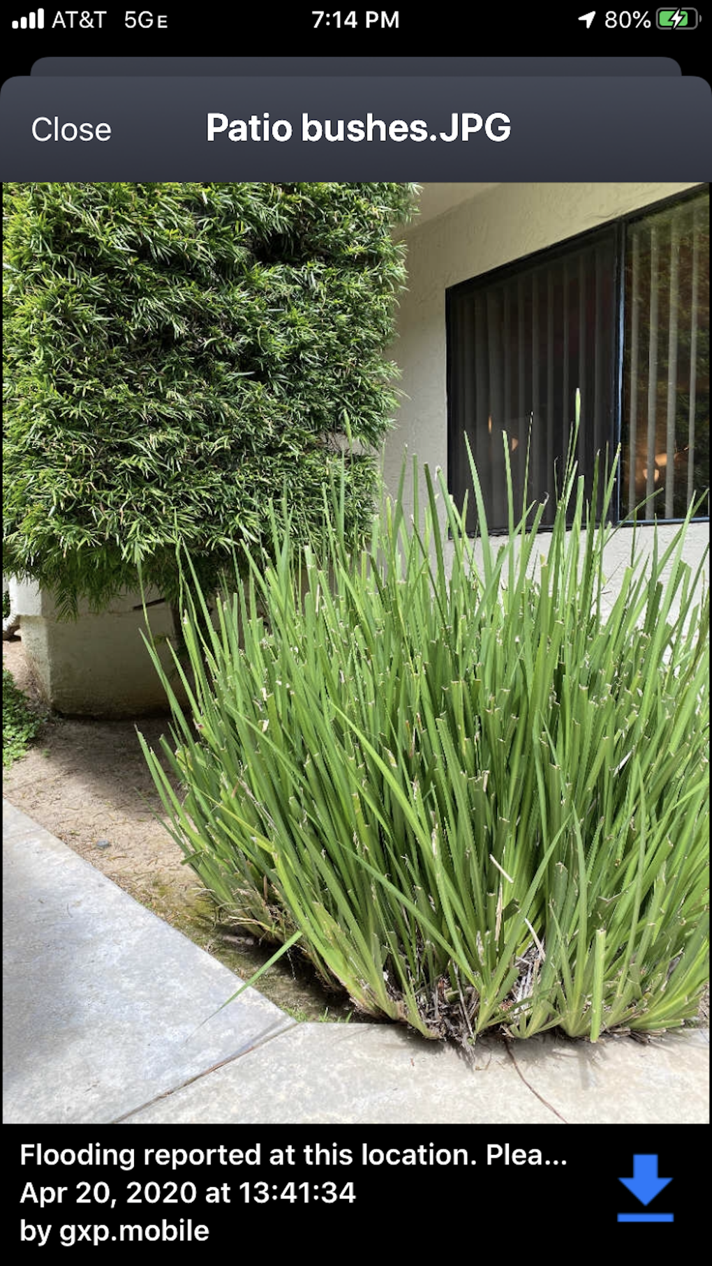 GXP OnScene para iPhone - Descargar