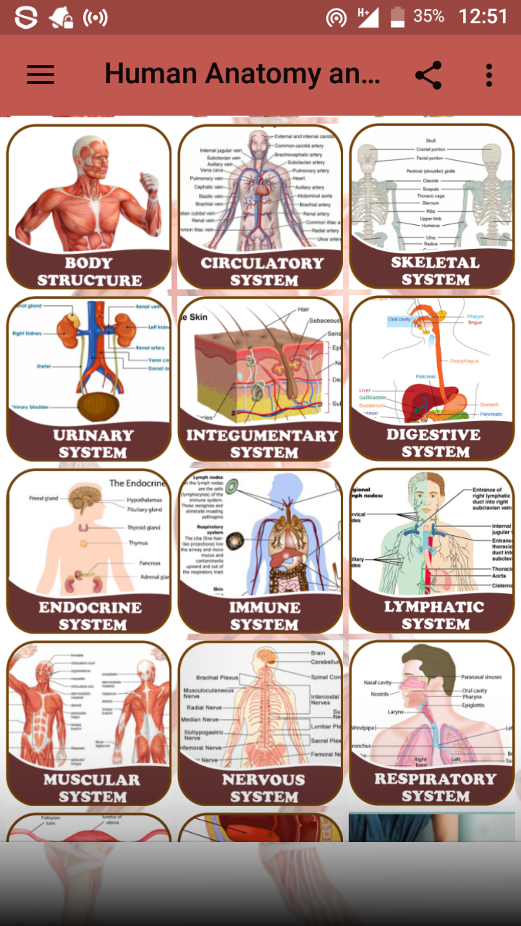 Human Anatomy and Physiology: With Illustrations APK for Android - Download