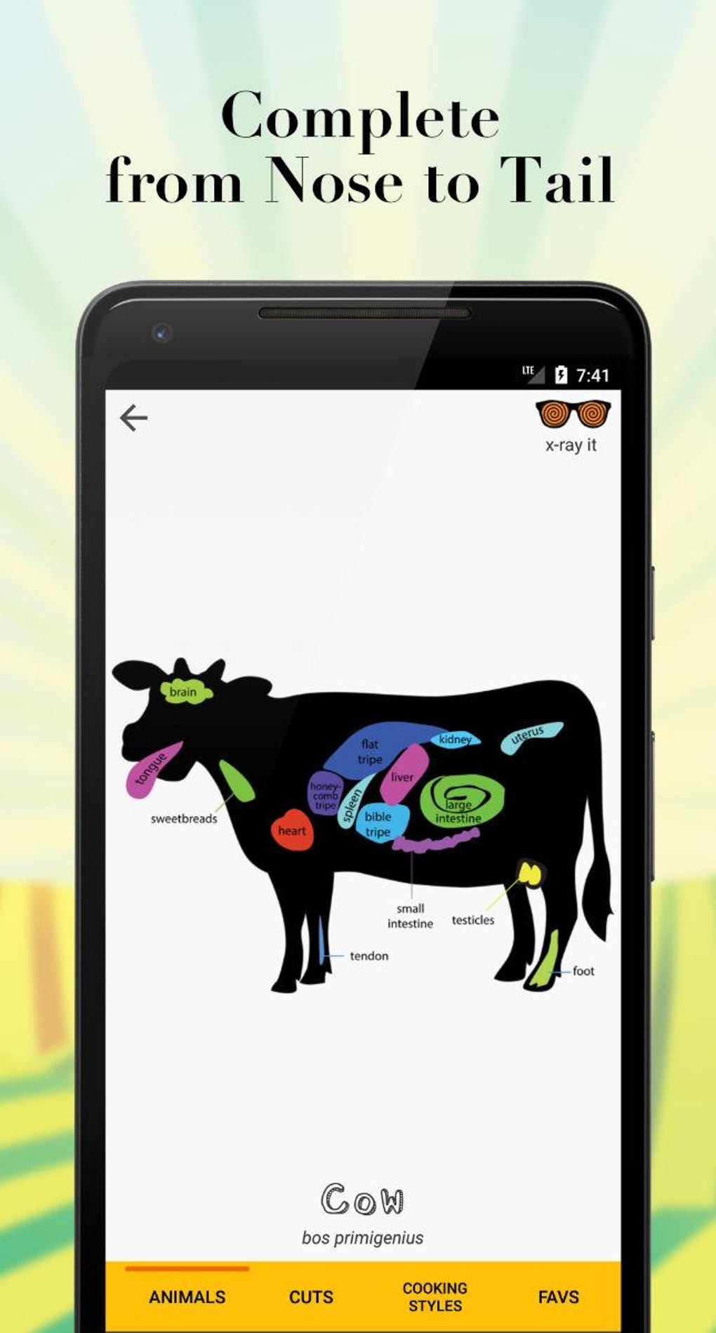 Nose to Tail: Cuts of Meat APK for Android - Download