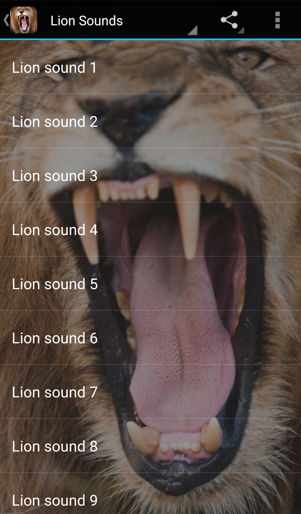 Android için Lion Sounds APK - İndir
