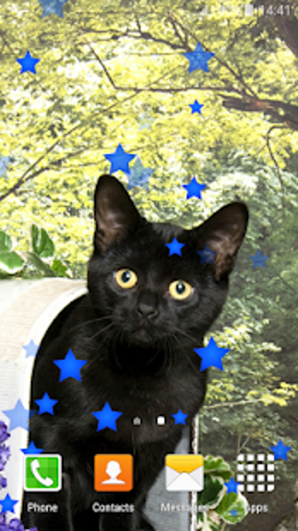 Sweet Kittens Live Wallpapers APK para Android - Descargar