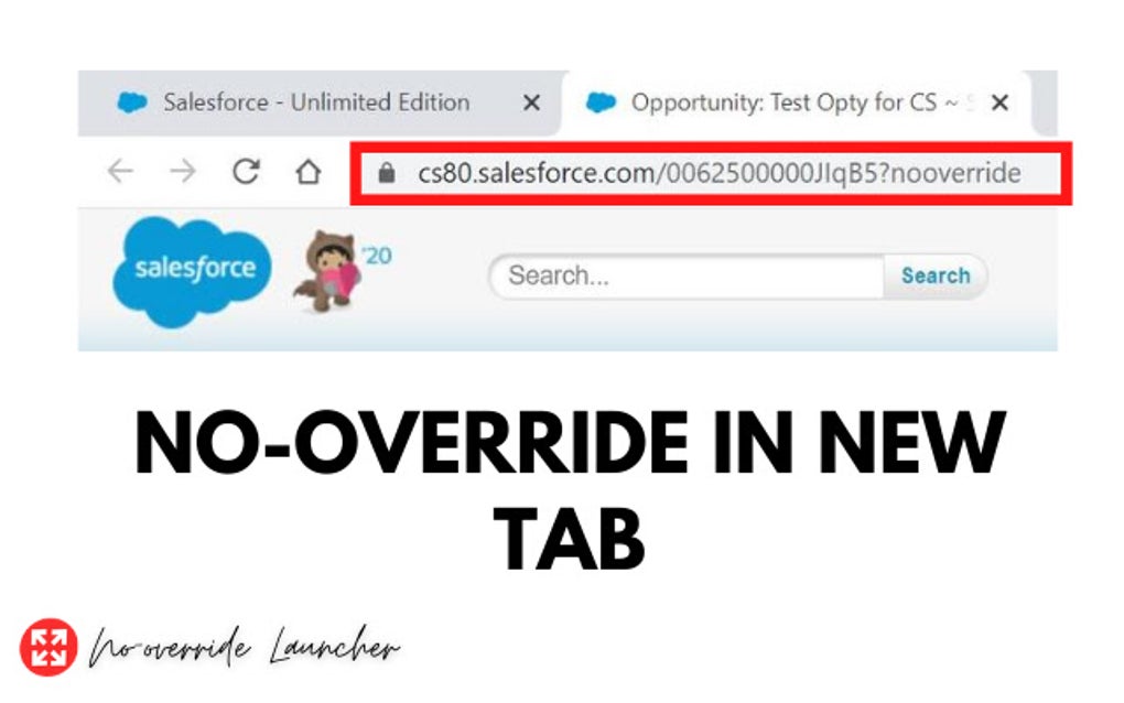 No-override Launcher for Salesforce for Google Chrome - Extension Download