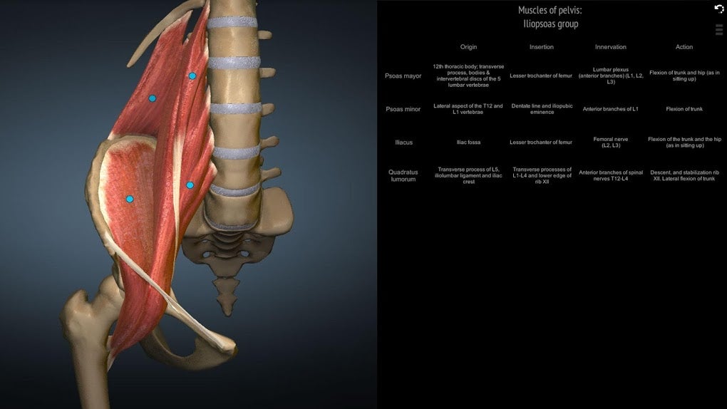 Anatomy Learning - 3D Atlas APK na Android - Download
