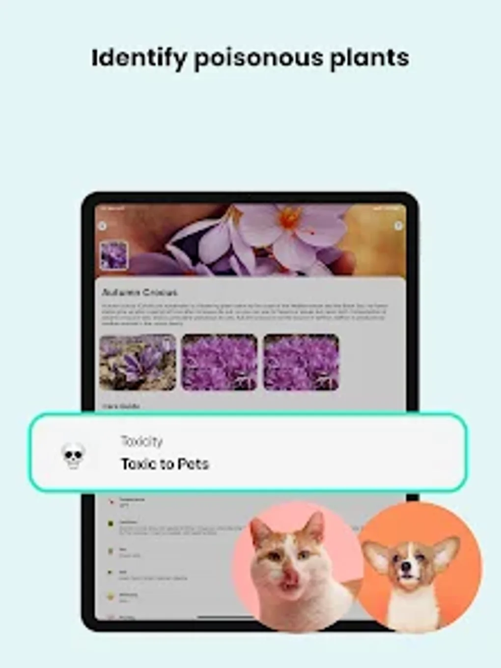 PlantCam: Plant Identifier for Android - Download