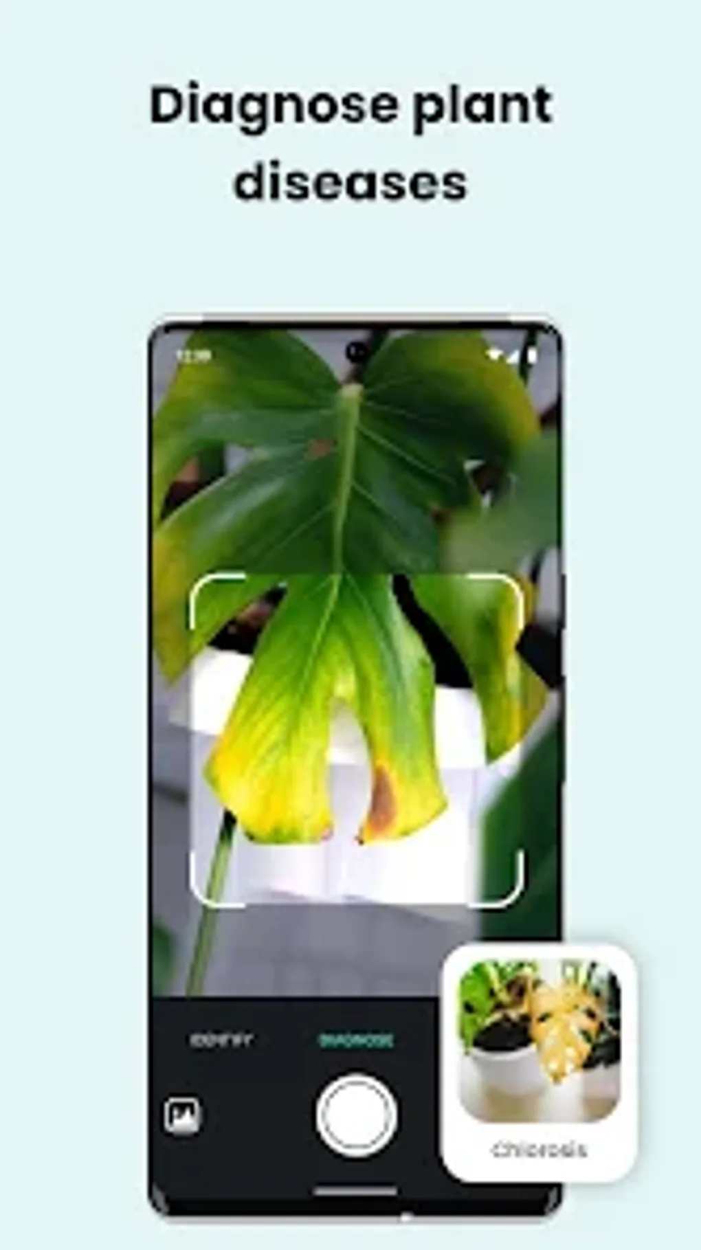 PlantCam: Plant Identifier for Android - Download