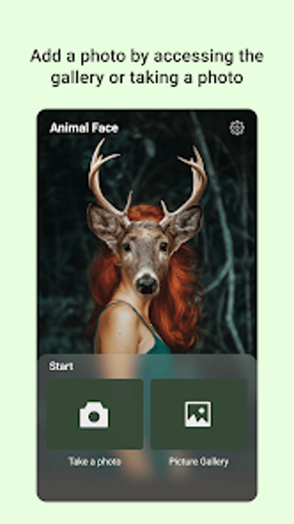 Animal Face - Face stickers para Android - Descargar