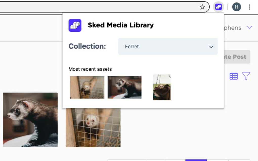 Sked Media Library for Google Chrome - Extension Download