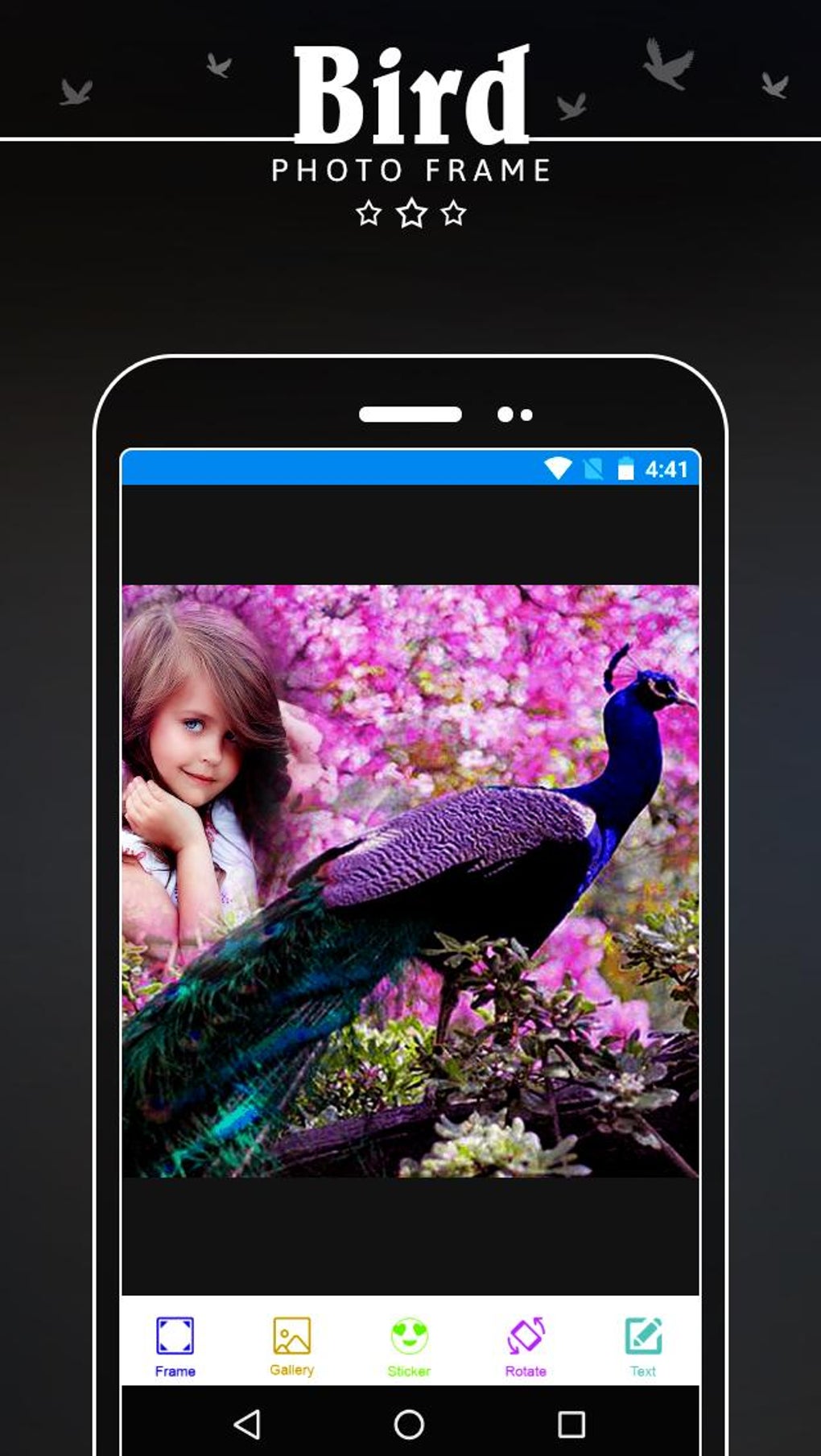 Bird Photo Frame for Android - Download