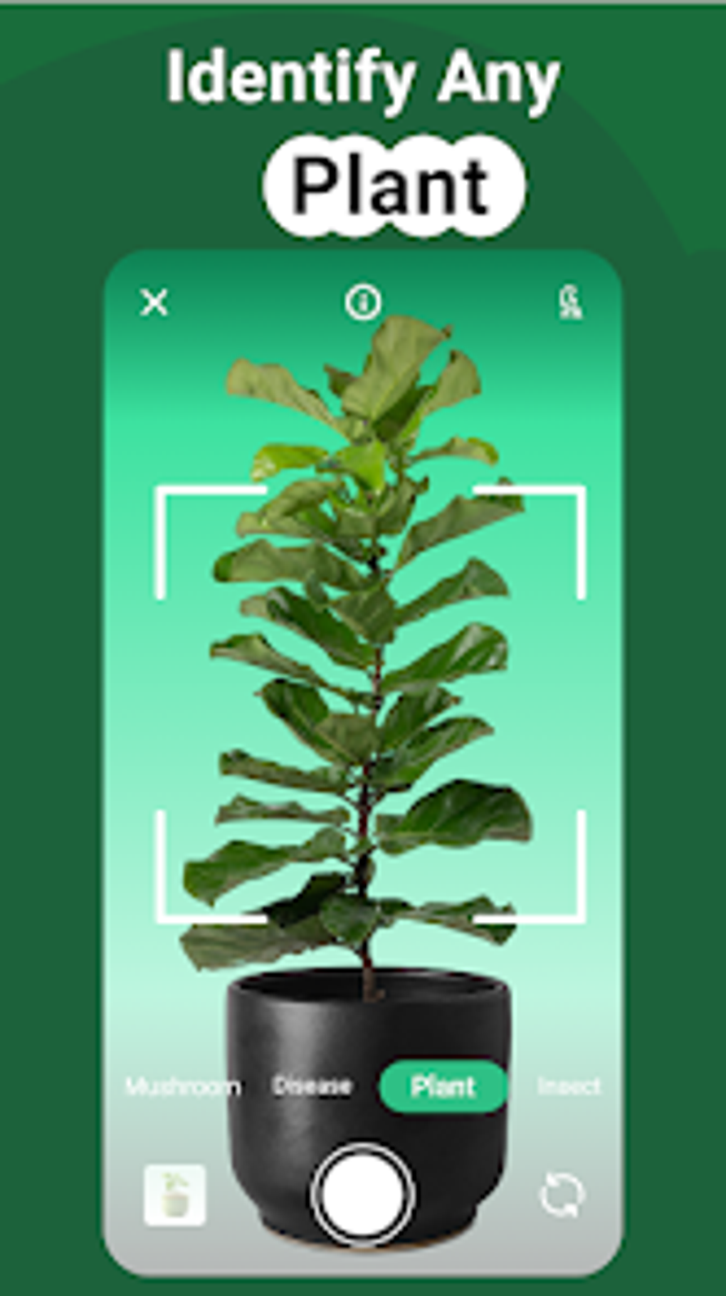Plant Identifier App für Android - Download