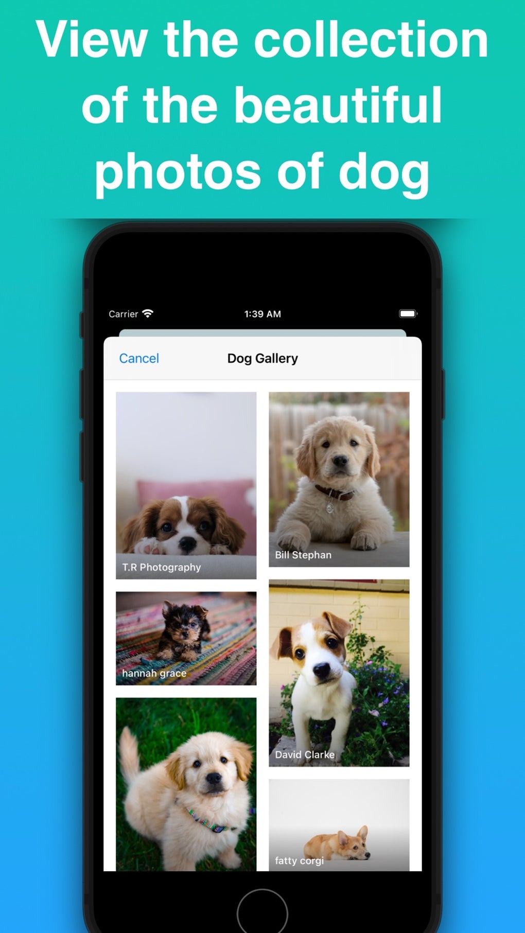 Dog Identifier - Puppy Scanner para iPhone - Download