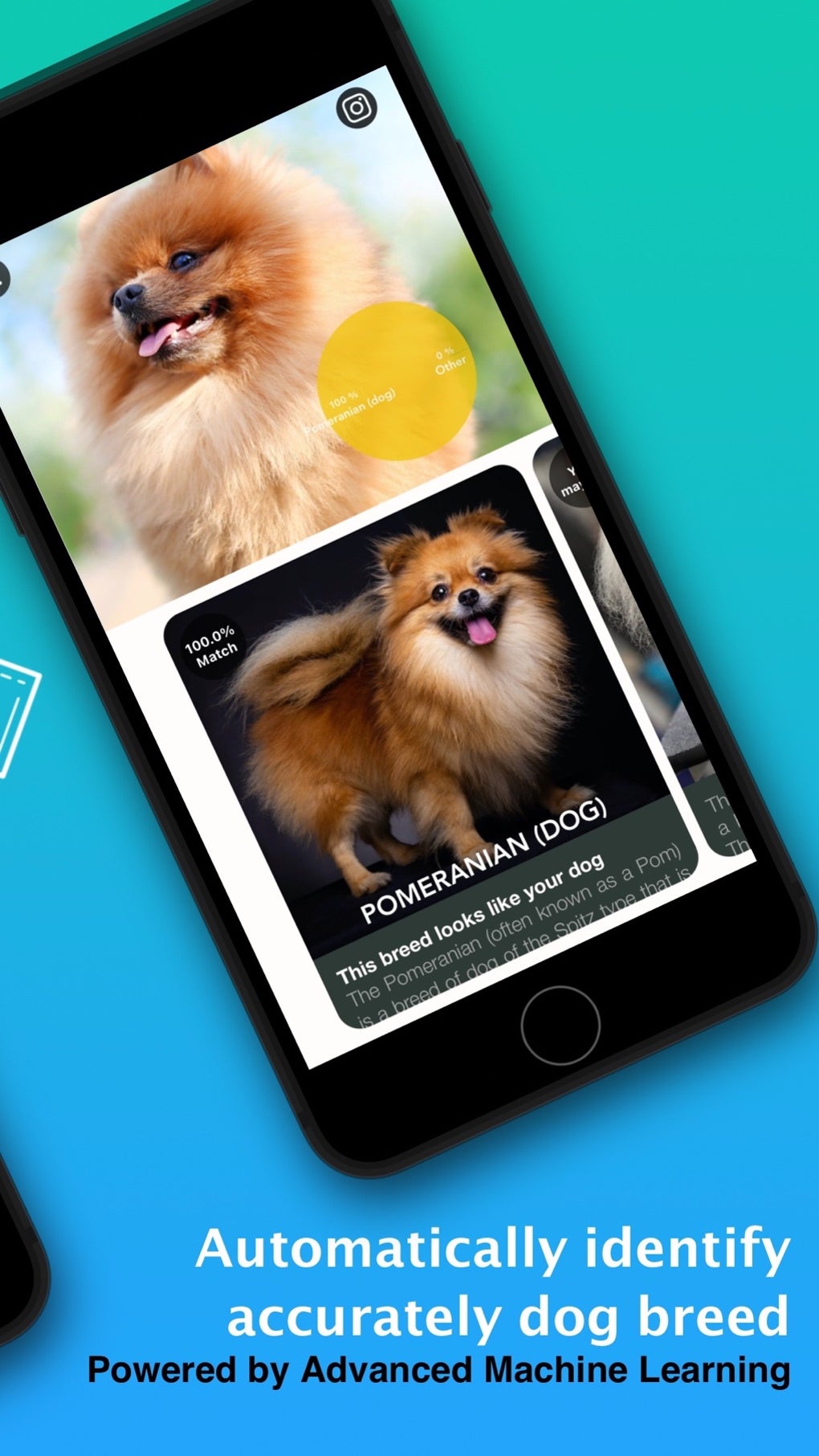 Dog Identifier - Puppy Scanner para iPhone - Descargar