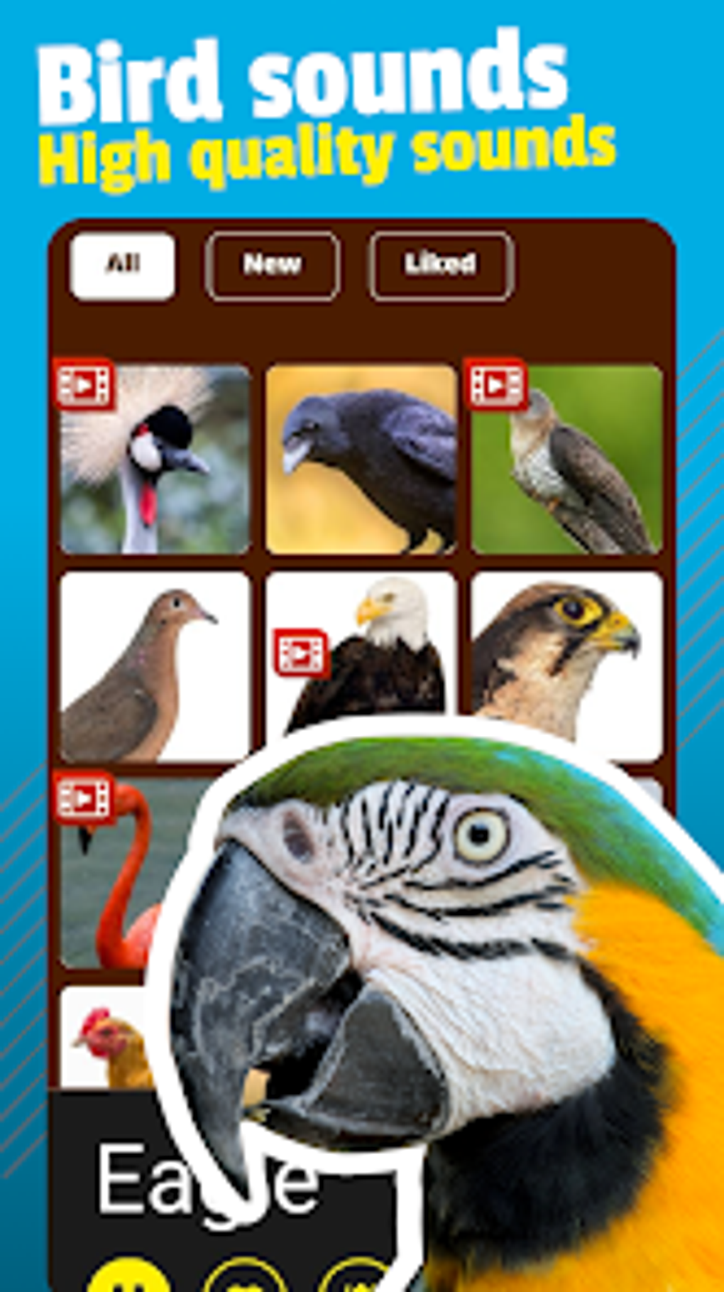 Bird Sounds and Ringtones per Android - Download