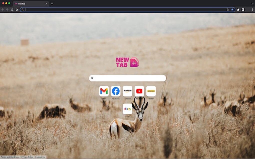 NewTab Google Chrome 용 - 확장 프로그램 다운로드