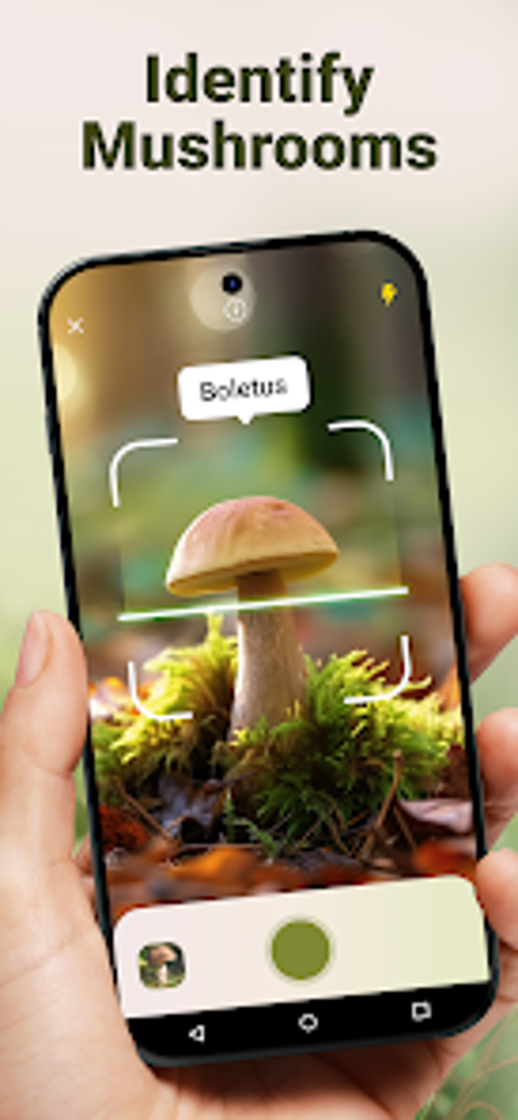 Mushroom ID - Fungi Identifier pour Android - Télécharger