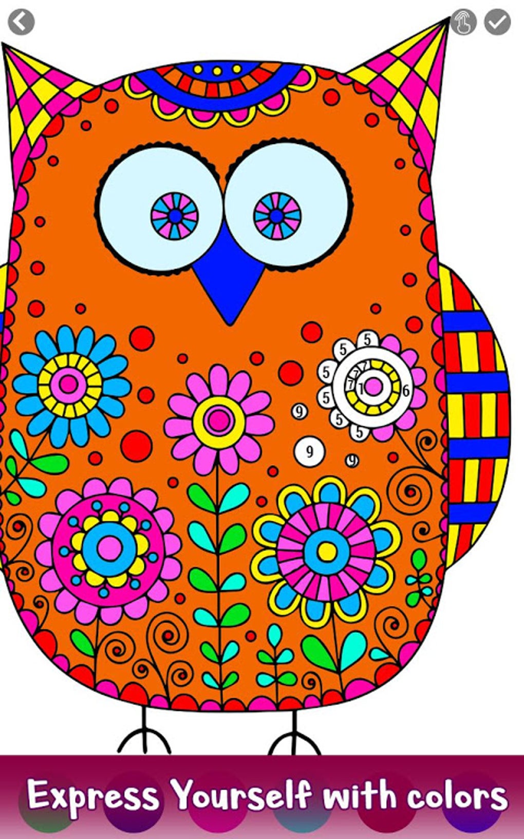 Owl Color By Number Birds Coloring Book Pages For Android 