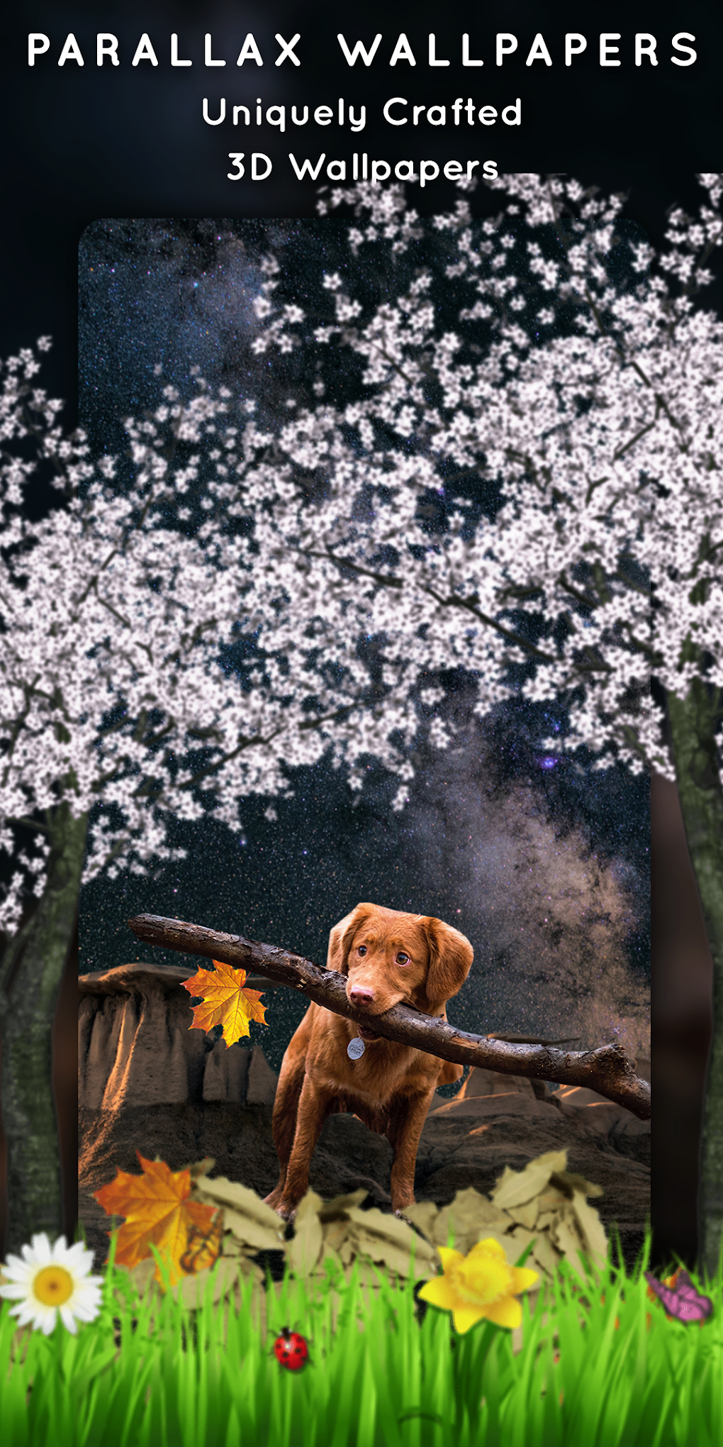 Parallax Live Wallpapers - 3D Backgrounds 2K4K for Android - Download