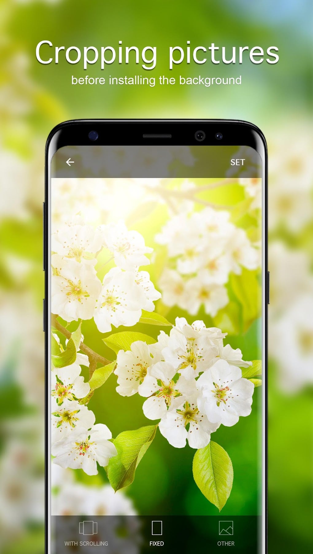 Spring Wallpapers 4K for Android - Download