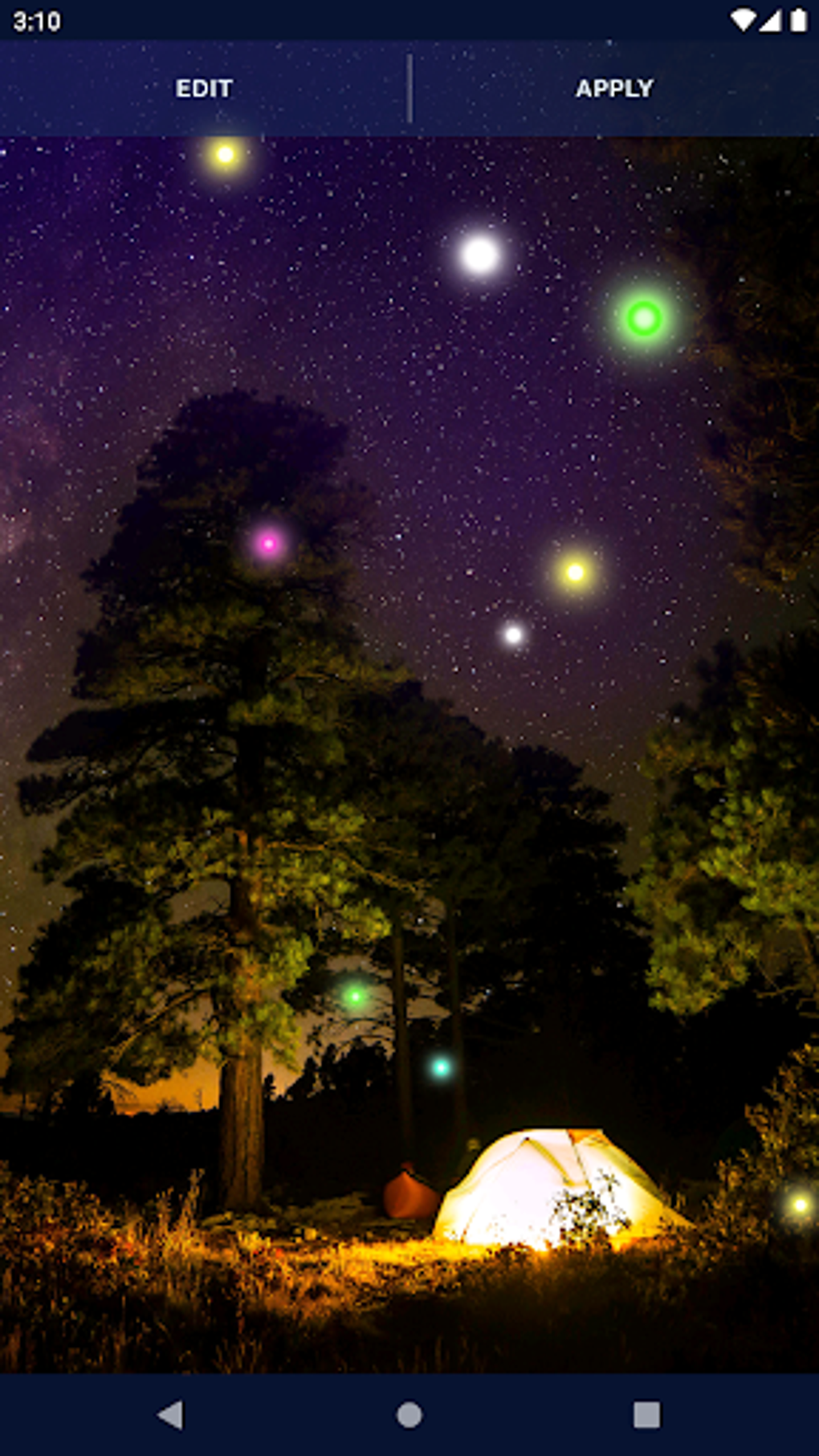 Firefly 4K Live Wallpaper APK for Android - Download