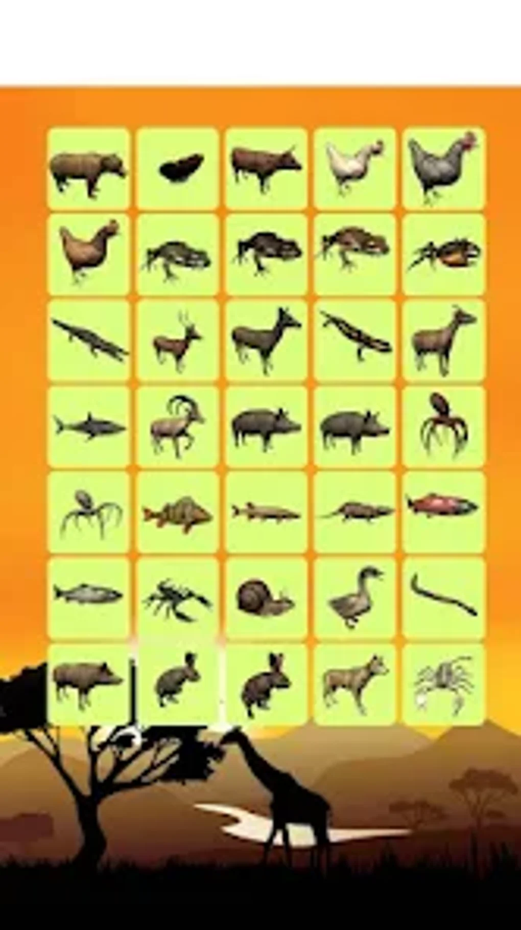 3d Animals camera Augmented Re for Android - Download