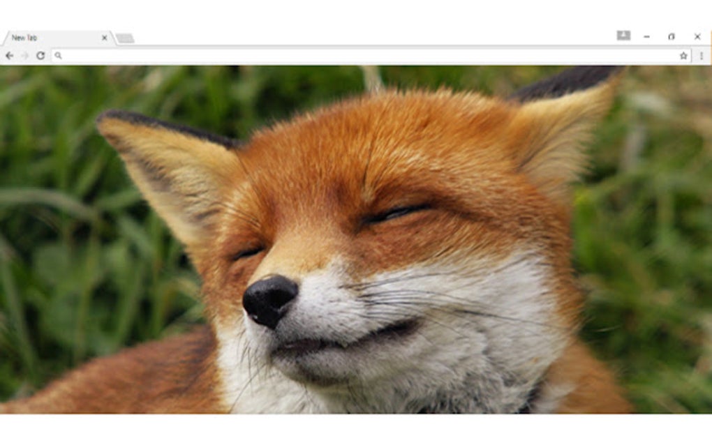 Foxy New Tab for Google Chrome - Extension Download