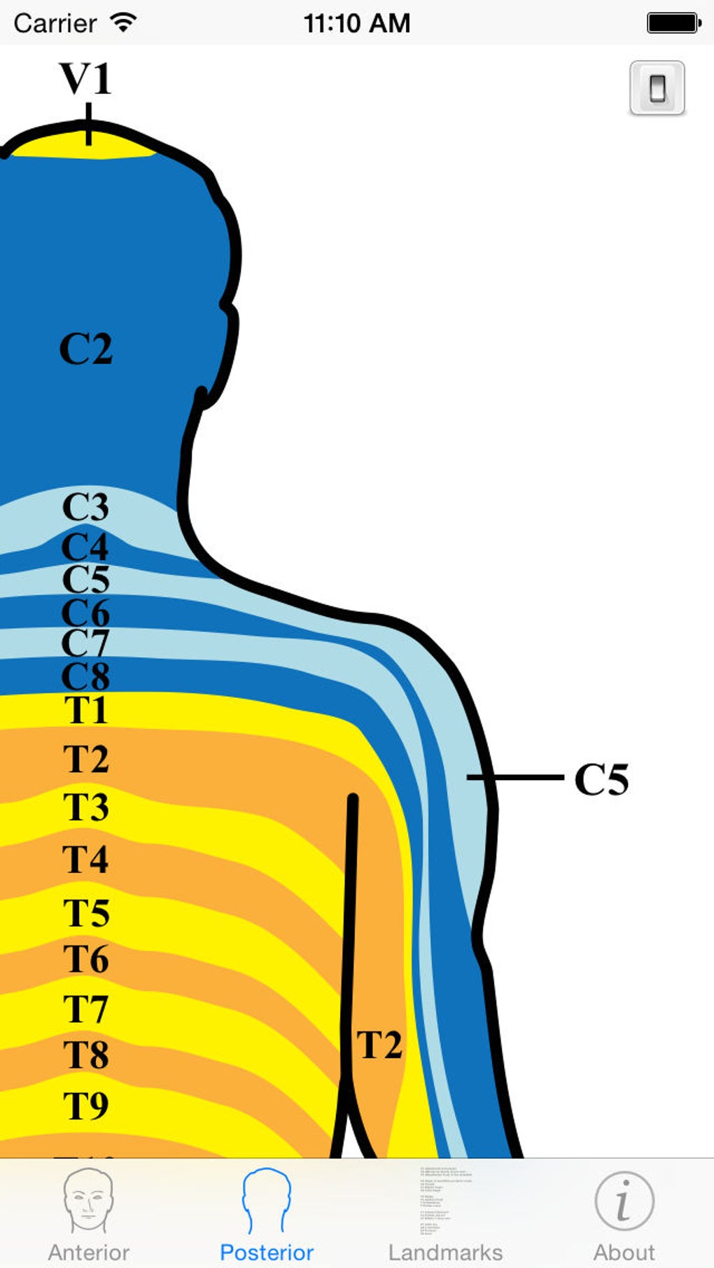 Dermatomes para iPhone - Descargar