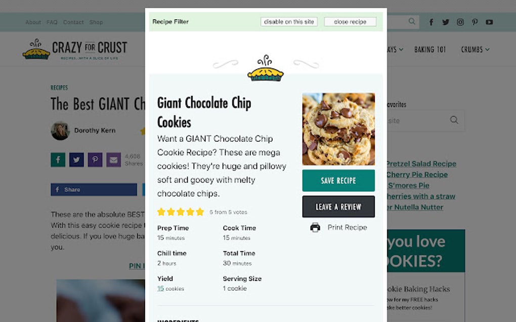 Recipe Filter for Google Chrome - Extension Download
