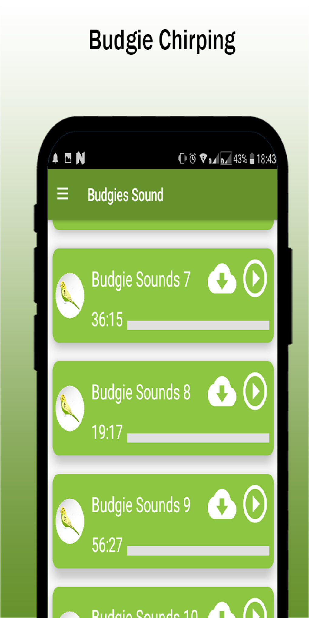 Budgie sounds Chirping APK for Android - Download