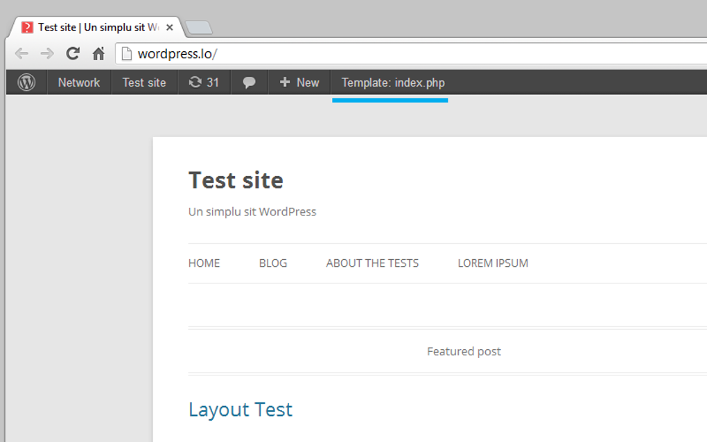 WordPress 용 DP Debug Menu - 다운로드