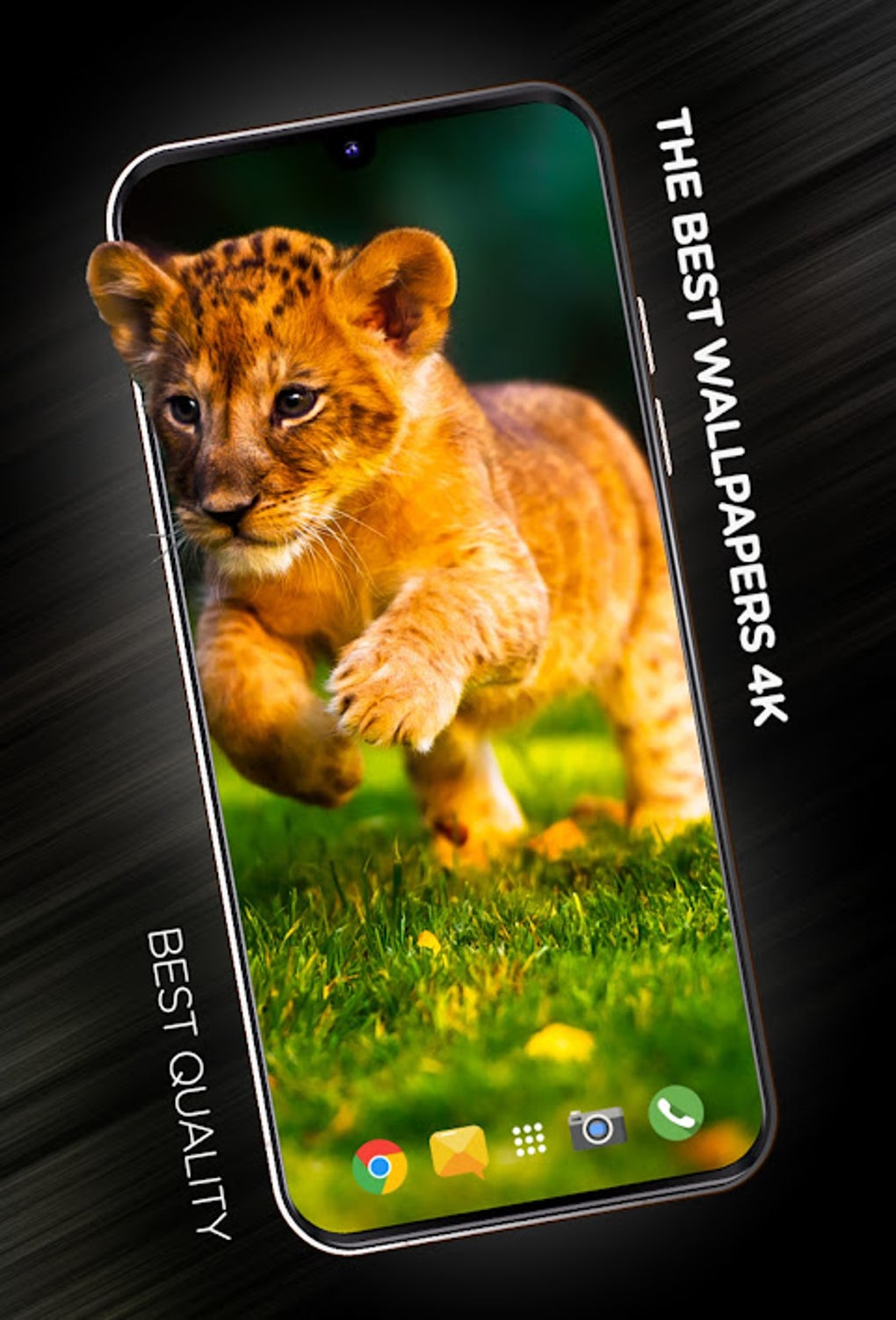 Cute animals Wallpapers APK for Android - Download