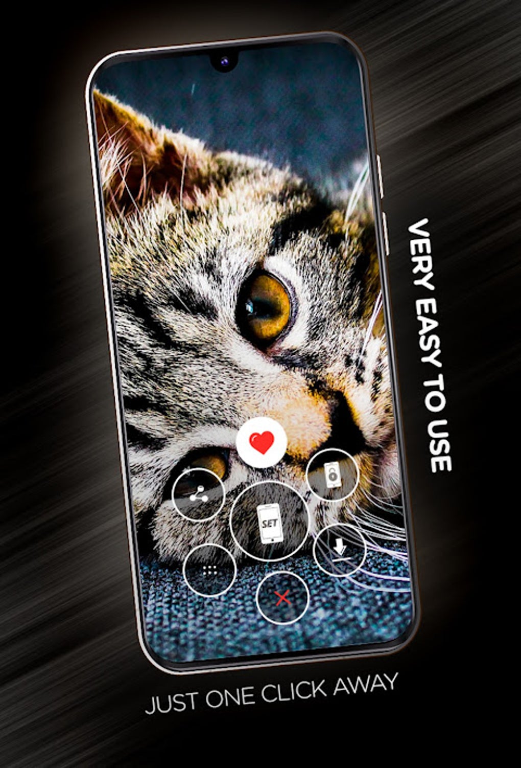 Cute animals Wallpapers APK for Android - Download