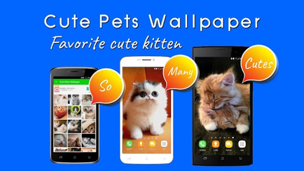 Cute Pets Wallpapers Background APK for Android - Download